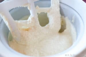Homemade Kefir Ice Cream (Frozen Kefir) - Oh, The Things We'll Make!