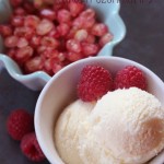 Homemade Kefir Ice Cream (Frozen Kefir) - Oh, The Things We'll Make!