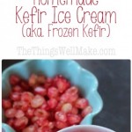 Homemade Kefir Ice Cream (Frozen Kefir) - Oh, The Things We'll Make!