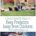 Want an Easy Way to Keep Predators Away from Your Chickens? - Oh, The ...