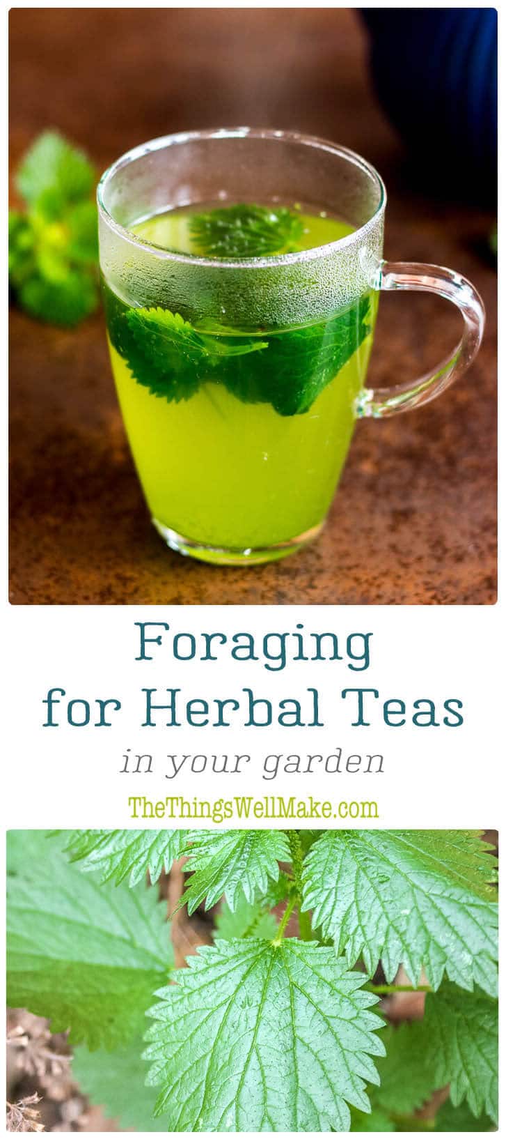 Foraging for Teas - Oh, The Things We'll Make!