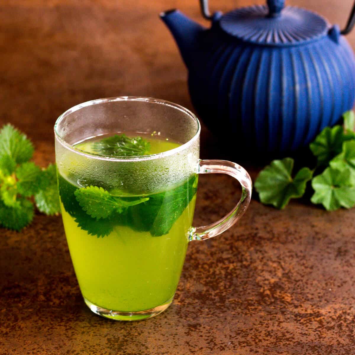 Foraging for Teas - Oh, The Things We'll Make!