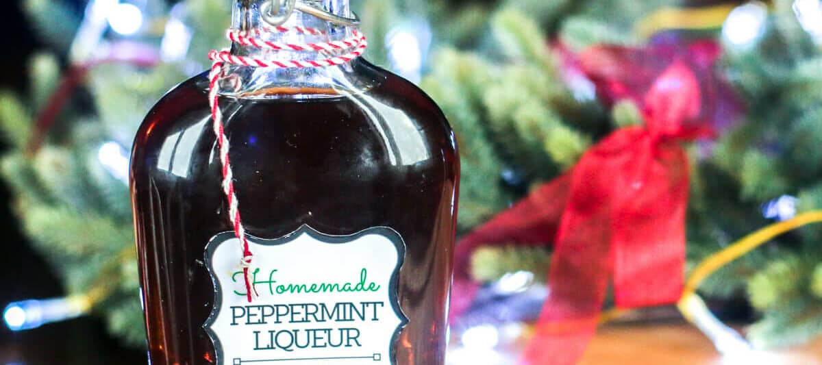 Peppermint Schnapps Recipe Everclear - Home Alqu