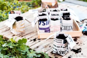 Quick, DIY, Origami Flower Pots From Recycled Newspaper - Oh, The ...