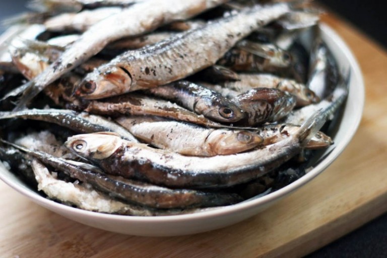Homemade Salt Cured Anchovy Fillets - Oh, The Things We'll Make!