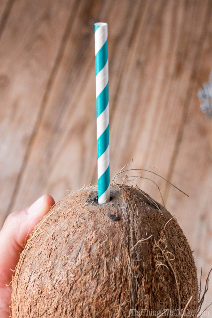 How to Choose a Coconut and How to Open it - Oh, The Things We'll Make!