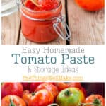 Easy Homemade Tomato Paste Recipe - Oh, The Things We'll Make!