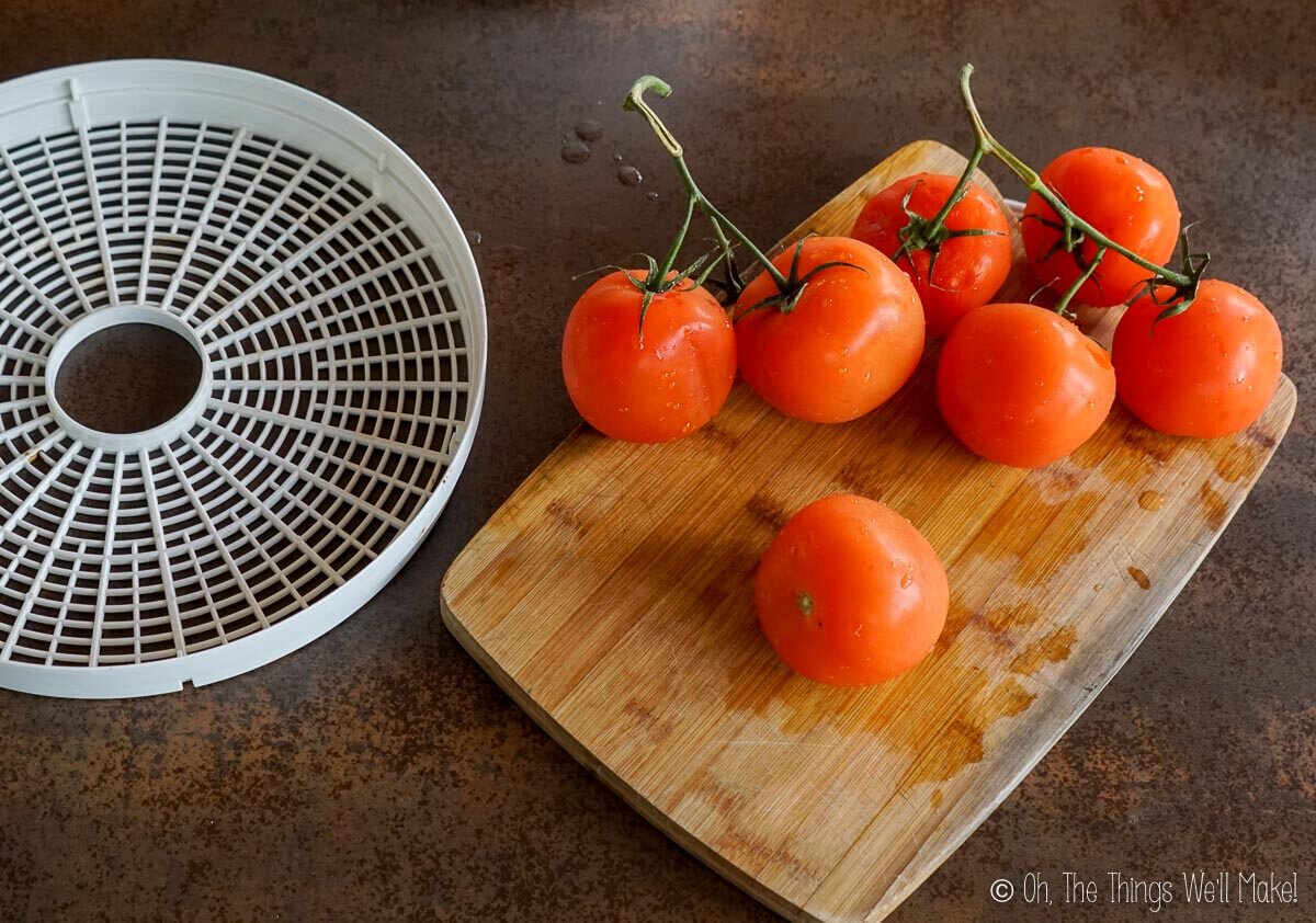 How to Make Tomato Powder (& Sundried Tomatoes) - Oh, The Things We'll ...
