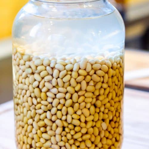 How to Make Soy Sauce (Homemade Shoyu) - Oh, The Things We'll Make!