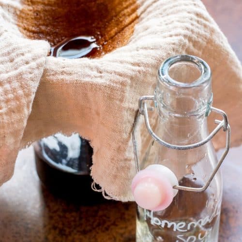 How to Make Soy Sauce (Homemade Shoyu) - Oh, The Things We'll Make!