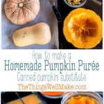 How to Make Pumpkin Puree (Canned Pumpkin Substitute) - Oh, The Things ...