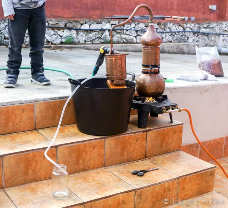 How to Make Rose Water and Rose Hydrosol - Oh, The Things We'll Make!