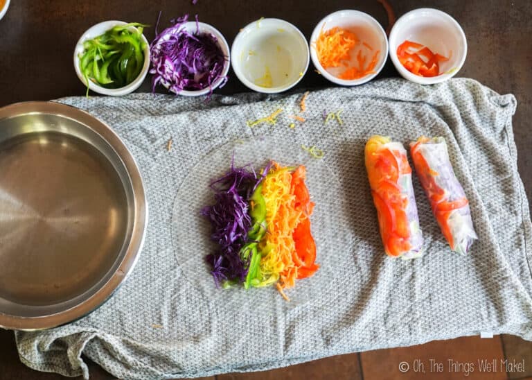 Eat the Rainbow Spring Rolls - Oh, The Things We'll Make!