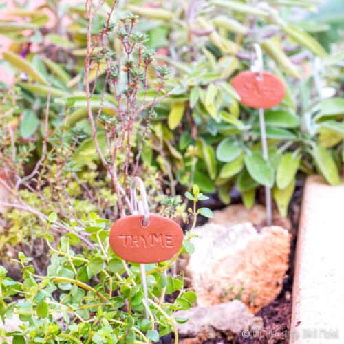 Easy DIY Garden Markers - Oh, The Things We'll Make!