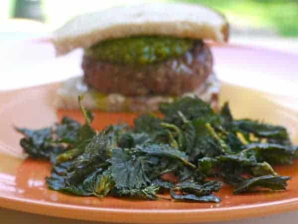 Surprising Ways to Use Stinging Nettles (With Recipes) - Oh, The Things ...