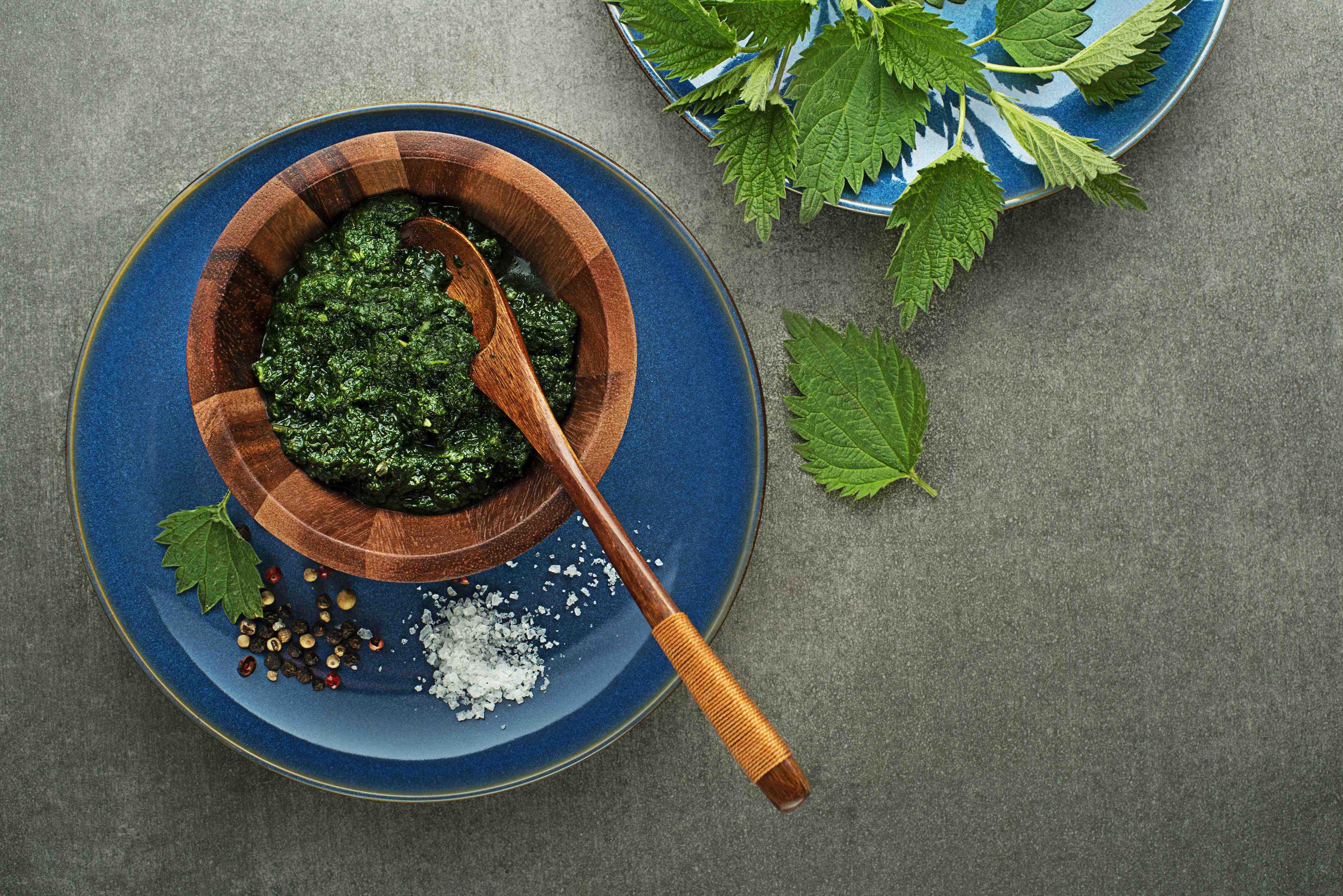Surprising Ways to Use Stinging Nettles (With Recipes) - Oh, The Things ...