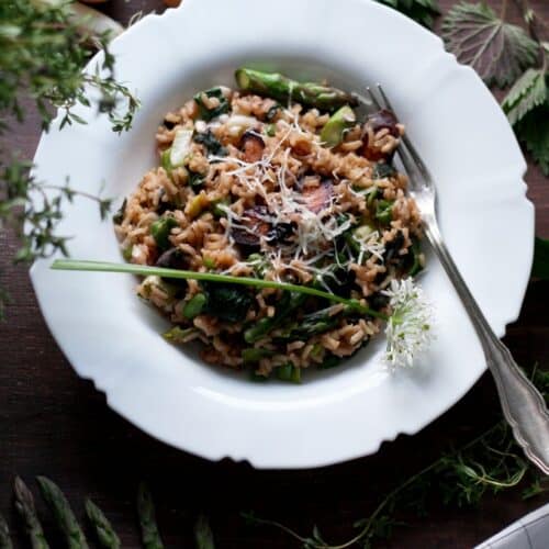 Surprising Ways to Use Stinging Nettles (With Recipes) - Oh, The Things ...