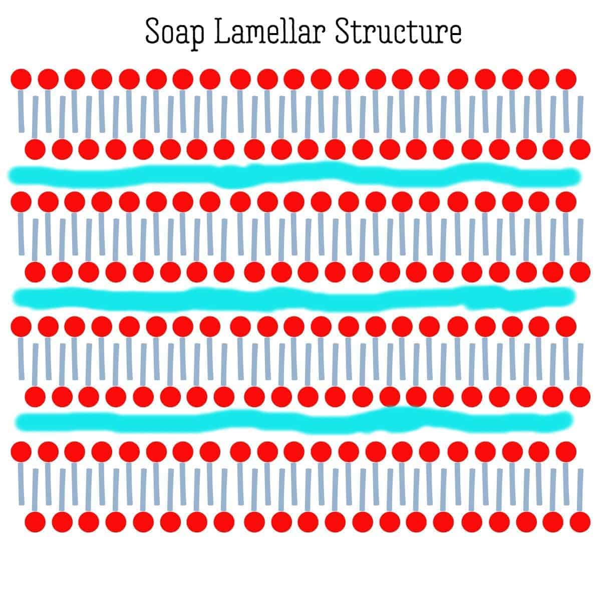 How, Why, and When to Cure Soap? - Oh, The Things We'll Make!
