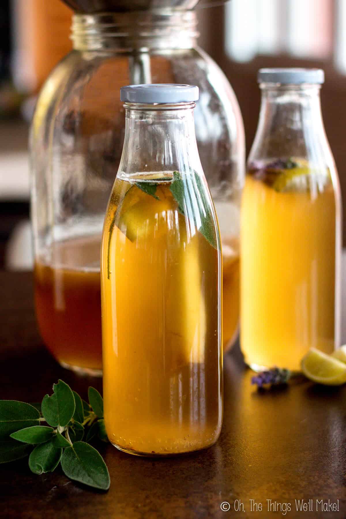 How to make Kombucha From Scratch - Oh, The Things We'll Make!