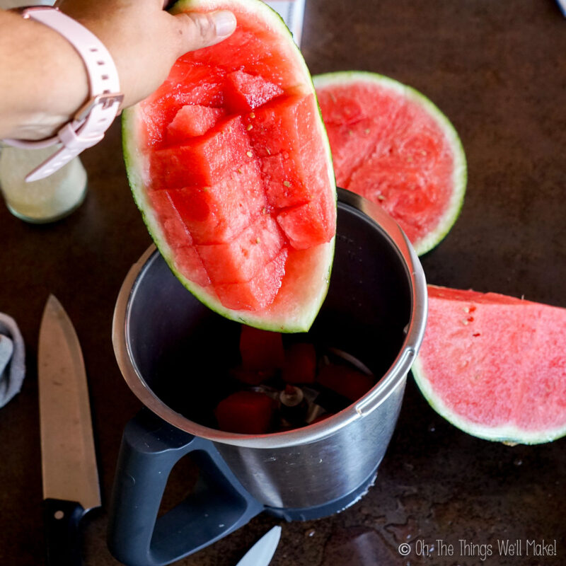 Watermelon Gelatin Popsicles (Healthy Jello Pops) - Oh, The Things We ...