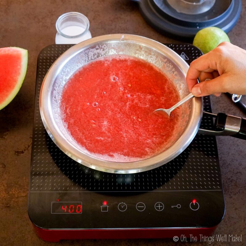 Watermelon Gelatin Popsicles (Healthy Jello Pops) - Oh, The Things We ...