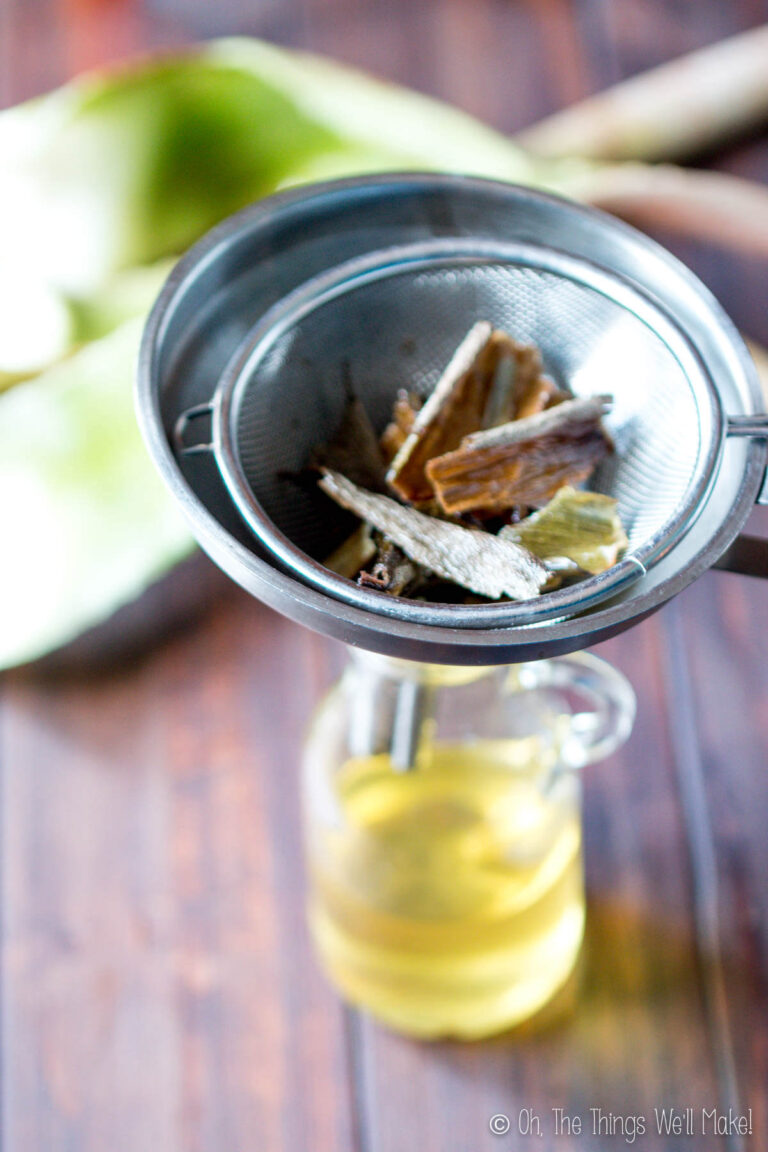 Why and How to Make Aloe Oil - Oh, The Things We'll Make!