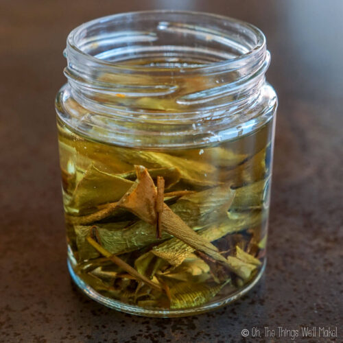 Why and How to Make Aloe Oil - Oh, The Things We'll Make!