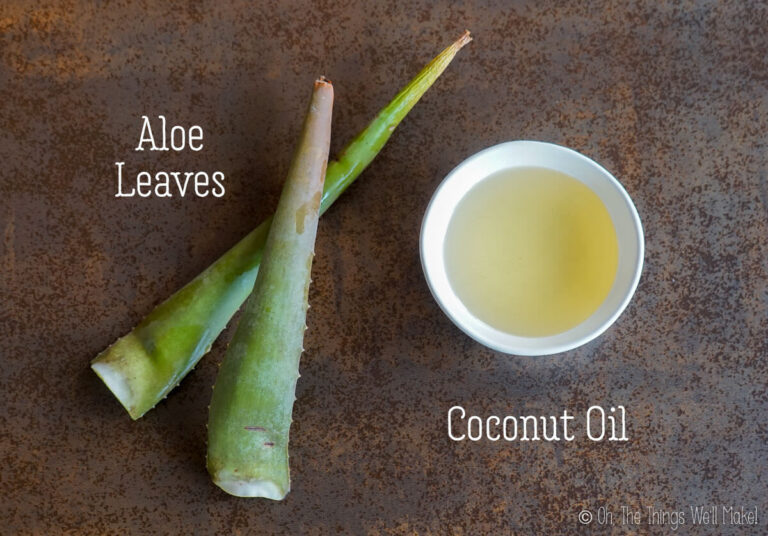 Why and How to Make Aloe Oil - Oh, The Things We'll Make!