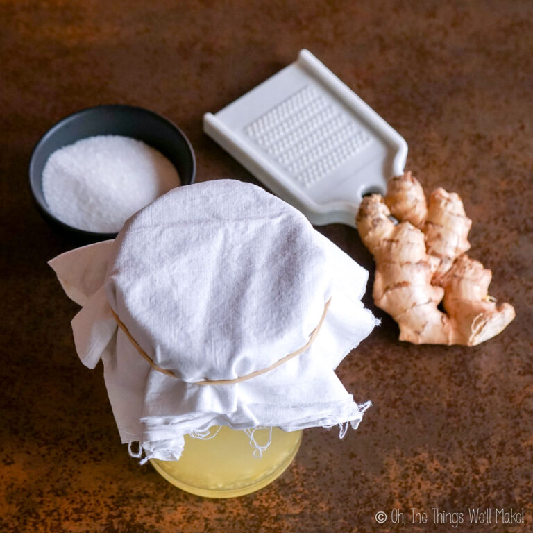 How to Make a Ginger Bug - Oh, The Things We'll Make!