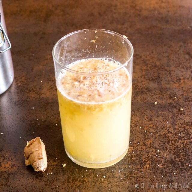 How to Make a Ginger Bug - Oh, The Things We'll Make!