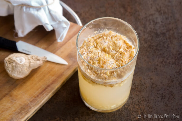 How to Make a Ginger Bug - Oh, The Things We'll Make!