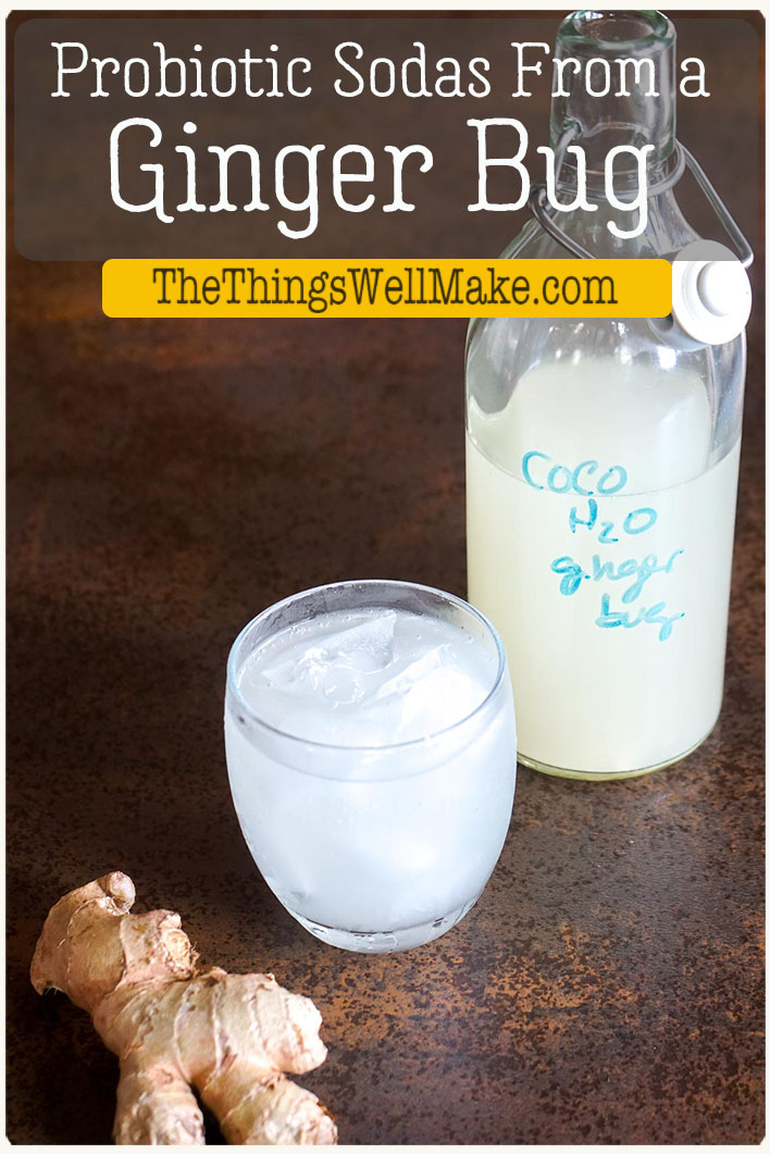 How to Make a Ginger Bug - Oh, The Things We'll Make!