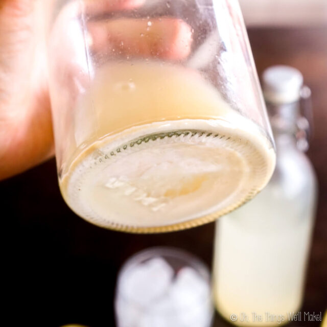 Fermented Ginger Beer - Oh, The Things We'll Make!