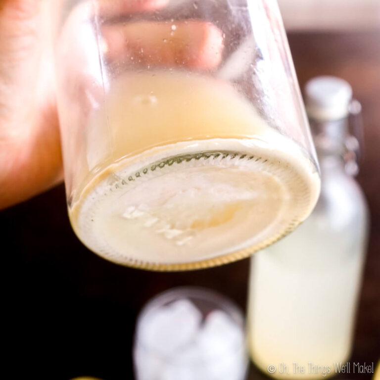 Fermented Ginger Beer - Oh, The Things We'll Make!
