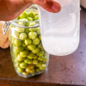 How to Brine, Salt Cure, and Store Olives - Oh, The Things We'll Make!