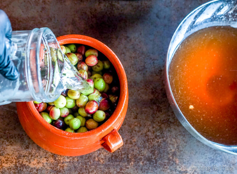 How to Brine, Salt Cure, and Store Olives - Oh, The Things We'll Make!