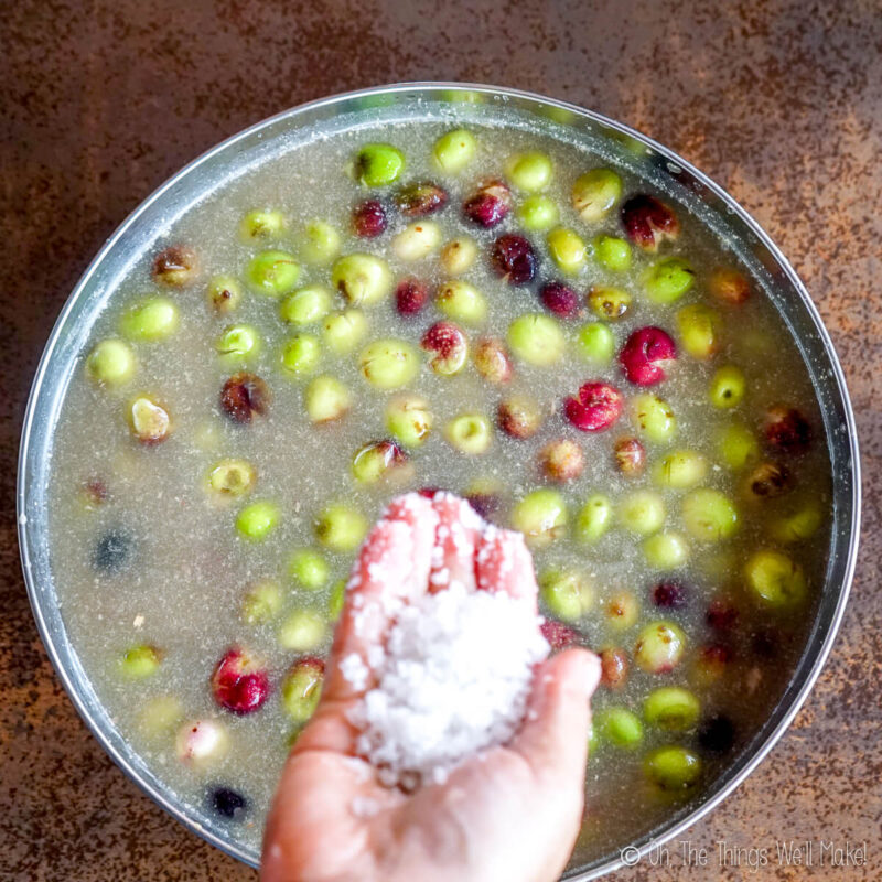 How to Brine, Salt Cure, and Store Olives - Oh, The Things We'll Make!