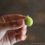 How to Make Lye Cured Olives - A Step by Step Tutorial - Oh, The Things ...