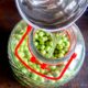How to Make Lye Cured Olives - A Step by Step Tutorial - Oh, The Things ...