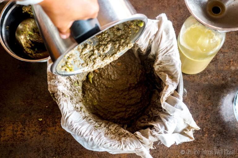 How to Make Olive Oil From Scratch - Oh, The Things We'll Make!