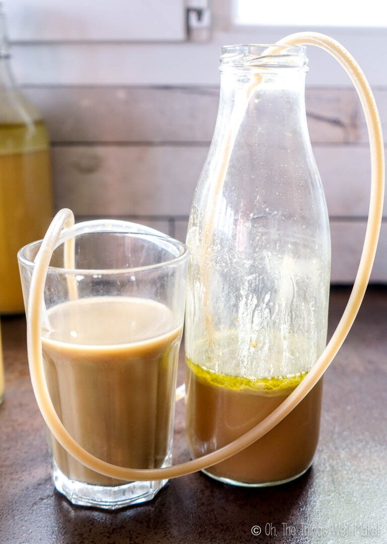 How to Make Olive Oil From Scratch - Oh, The Things We'll Make!