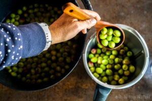 How to Make Olive Oil From Scratch - Oh, The Things We'll Make!