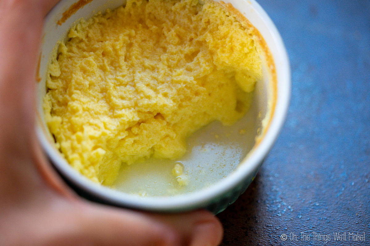 Carnivore keto custard - Oh, The Things We'll Make!