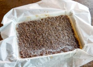 Pemmican: The Ultimate Snack and Survival Bars - Oh, The Things We'll Make!