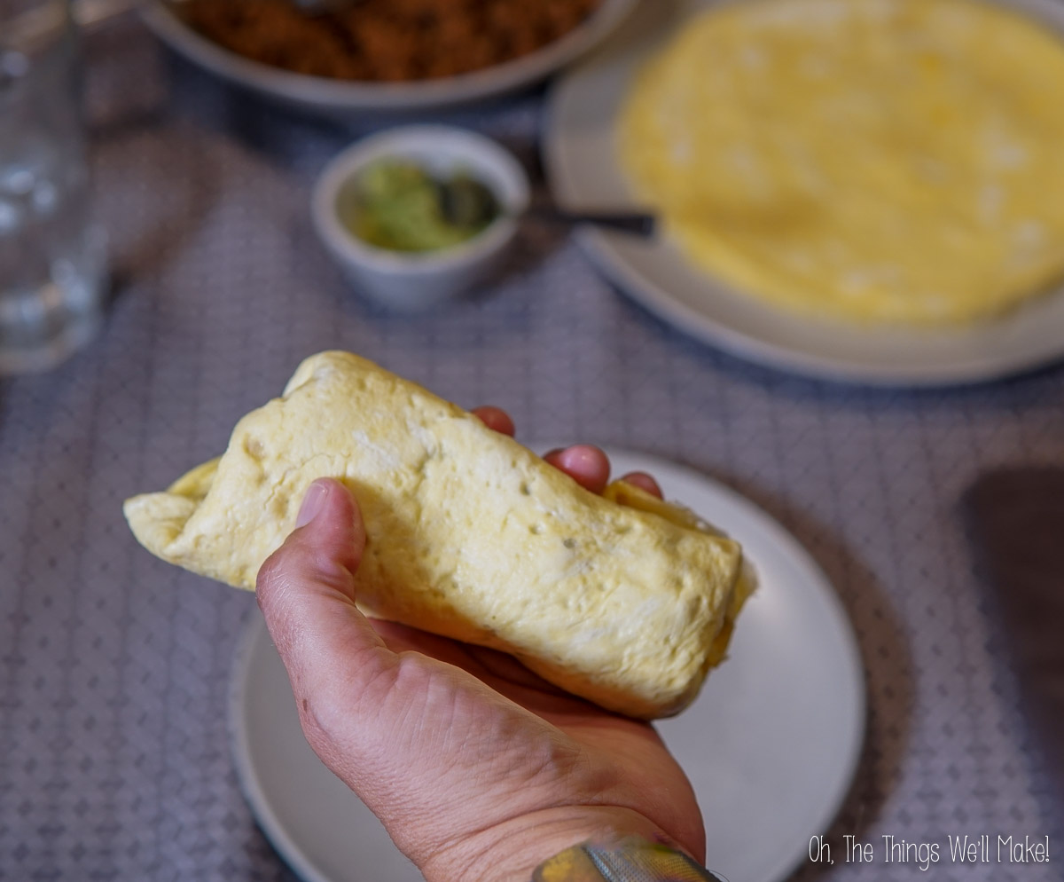 Easy Egg Wraps - Oh, The Things We'll Make!