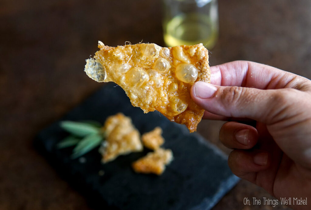 Crispy Chicken Skins - Oh, The Things We'll Make!
